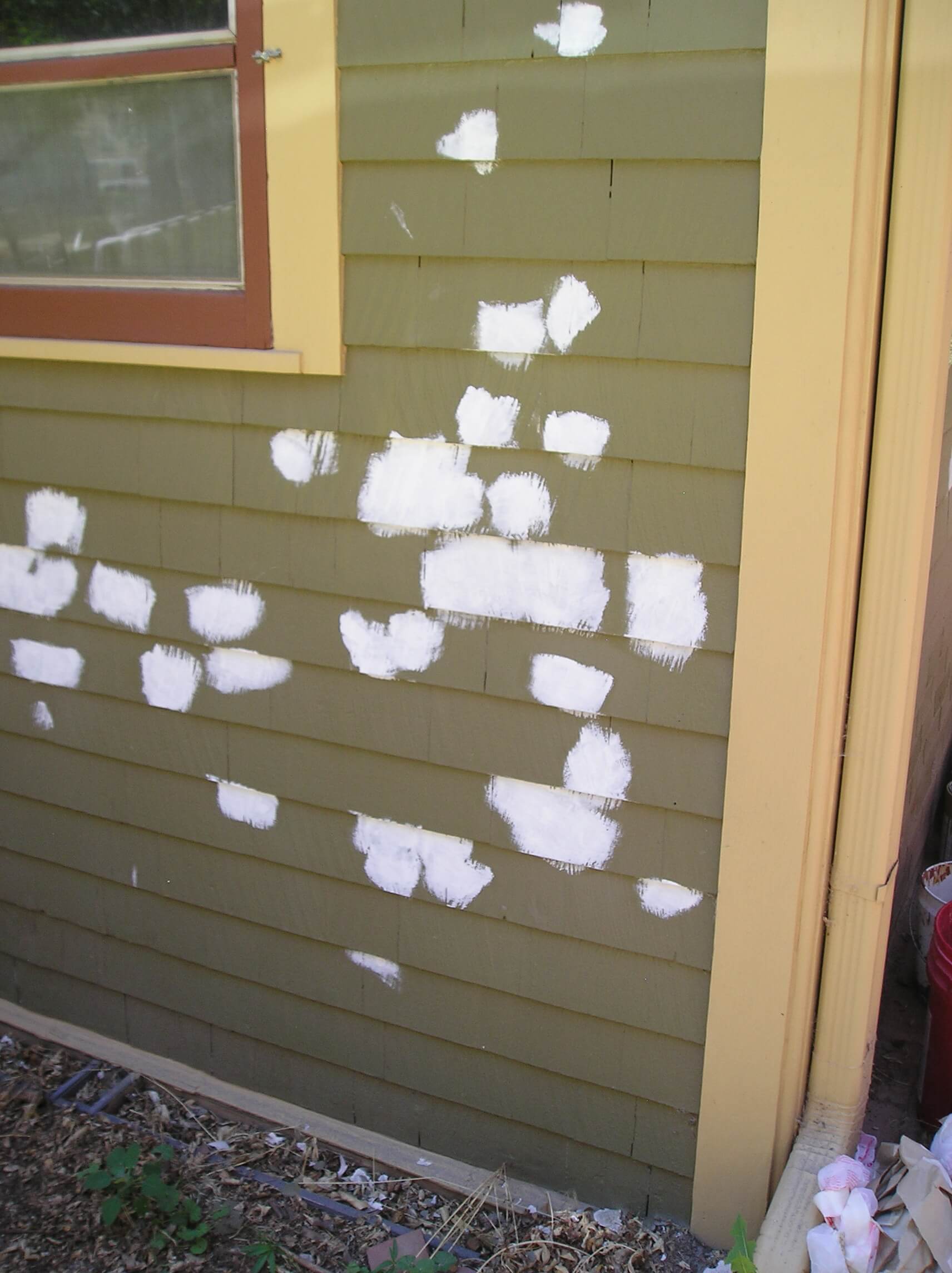 Effective Solutions for Blistering Paint